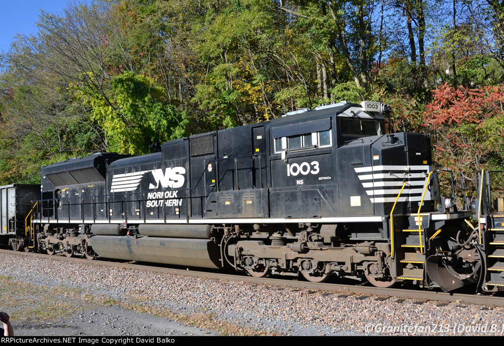 NS 1003